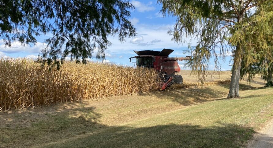 Best Farming Practices – Upper Brandon