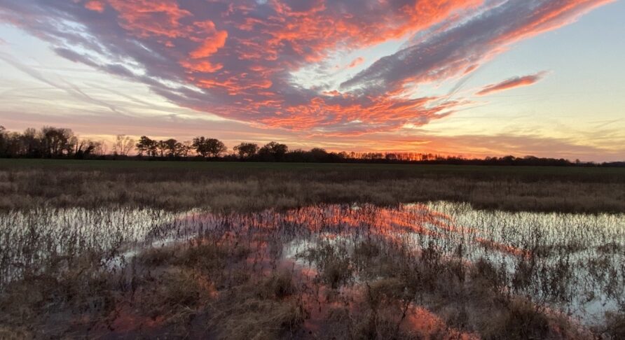 Waterfowl Management – Upper Brandon