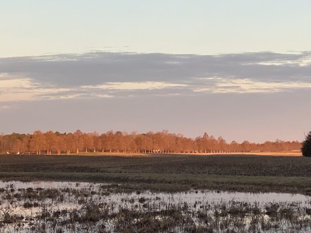 Gallery – Upper Brandon